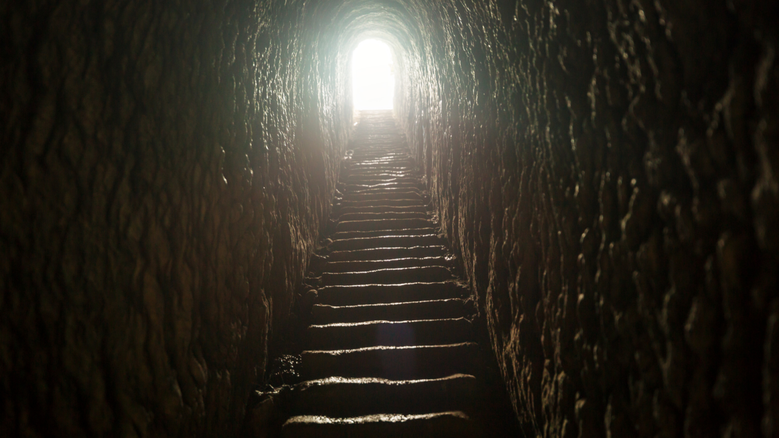 The Way of Escape - OJET Worldwide